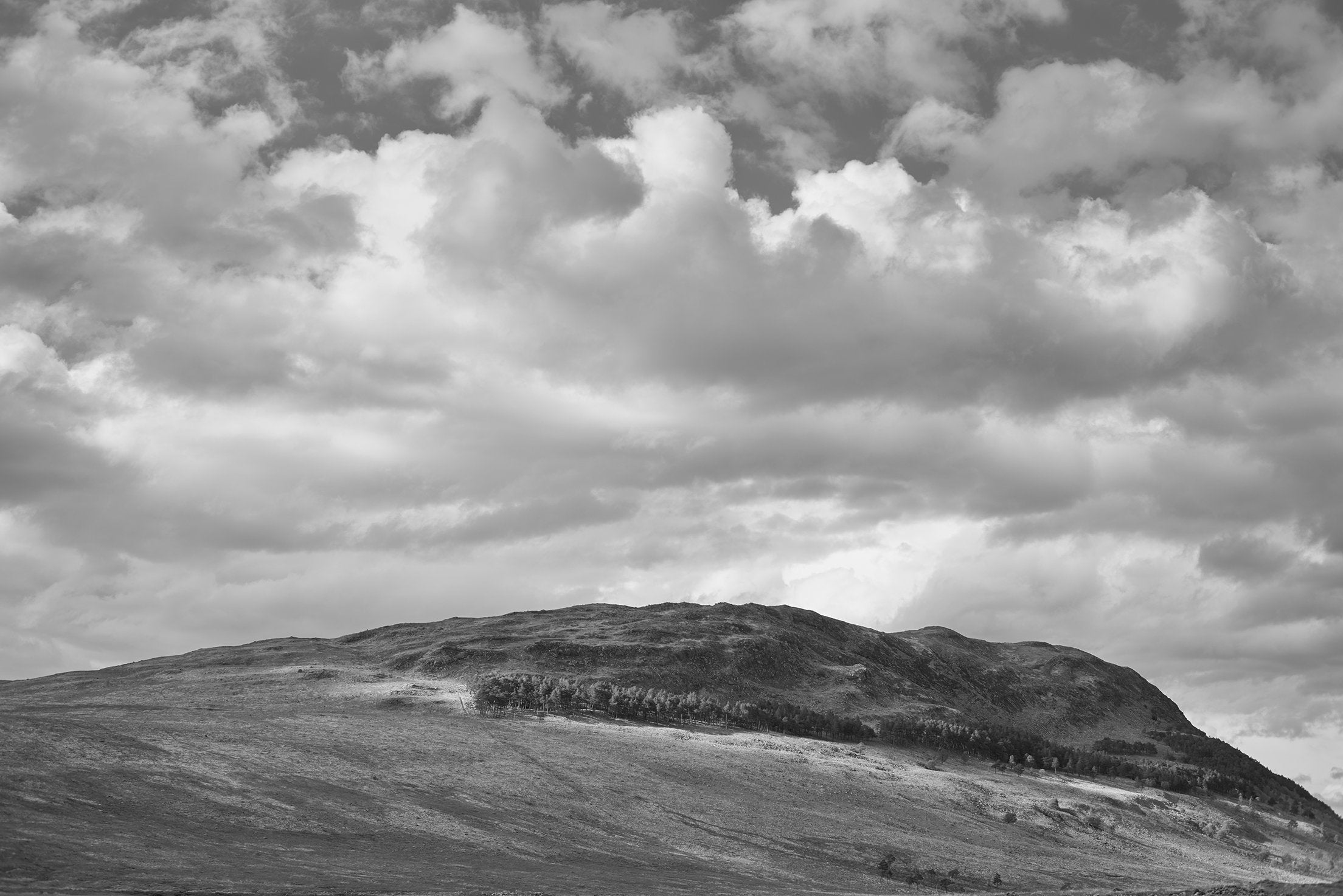 TOAST Podcast | Series 1 | TOAST Magazine