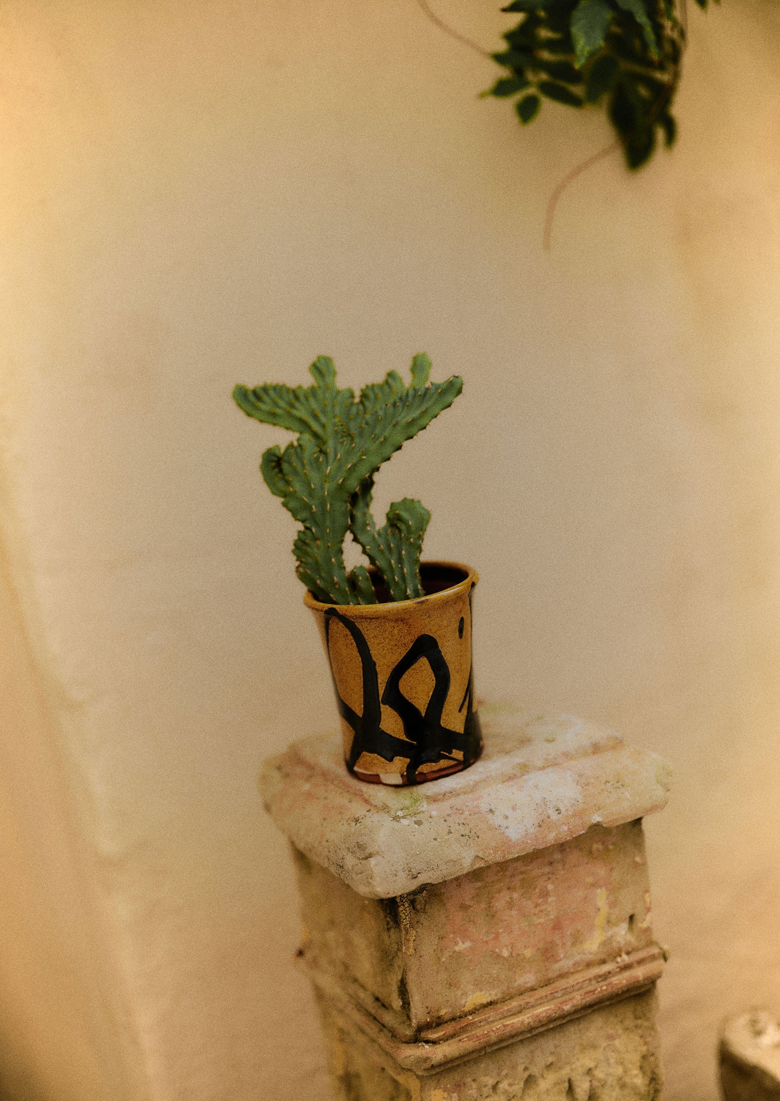 Hoxton Gardenware Small Slipware Planter | Honey | TOAST