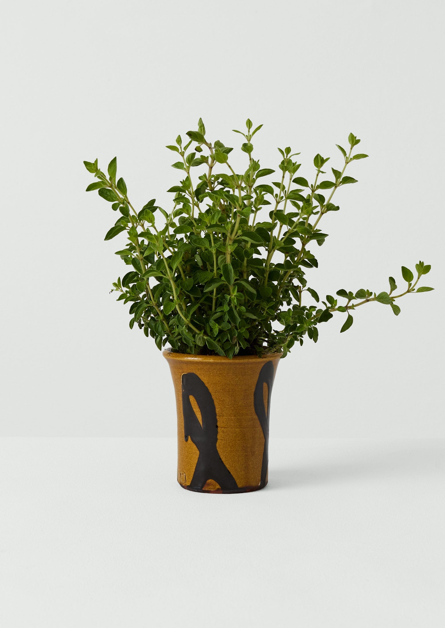 Hoxton Gardenware Small Slipware Planter | Honey | TOAST